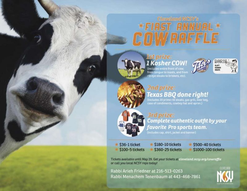 NCSY’s First Annual Cow Raffle! Get Your Tickets Now!